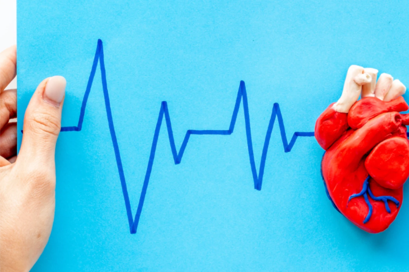 Move Your Way to a Healthier Heart: A Physical Therapist's Guide ...